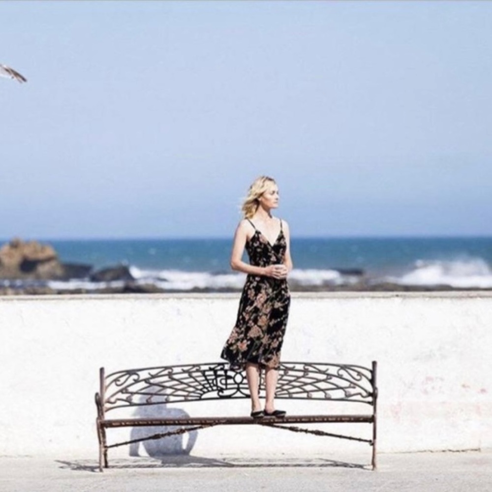 Anthropologie Eri + Ali Velvet Burnout Kora Slip Dres… - Gem